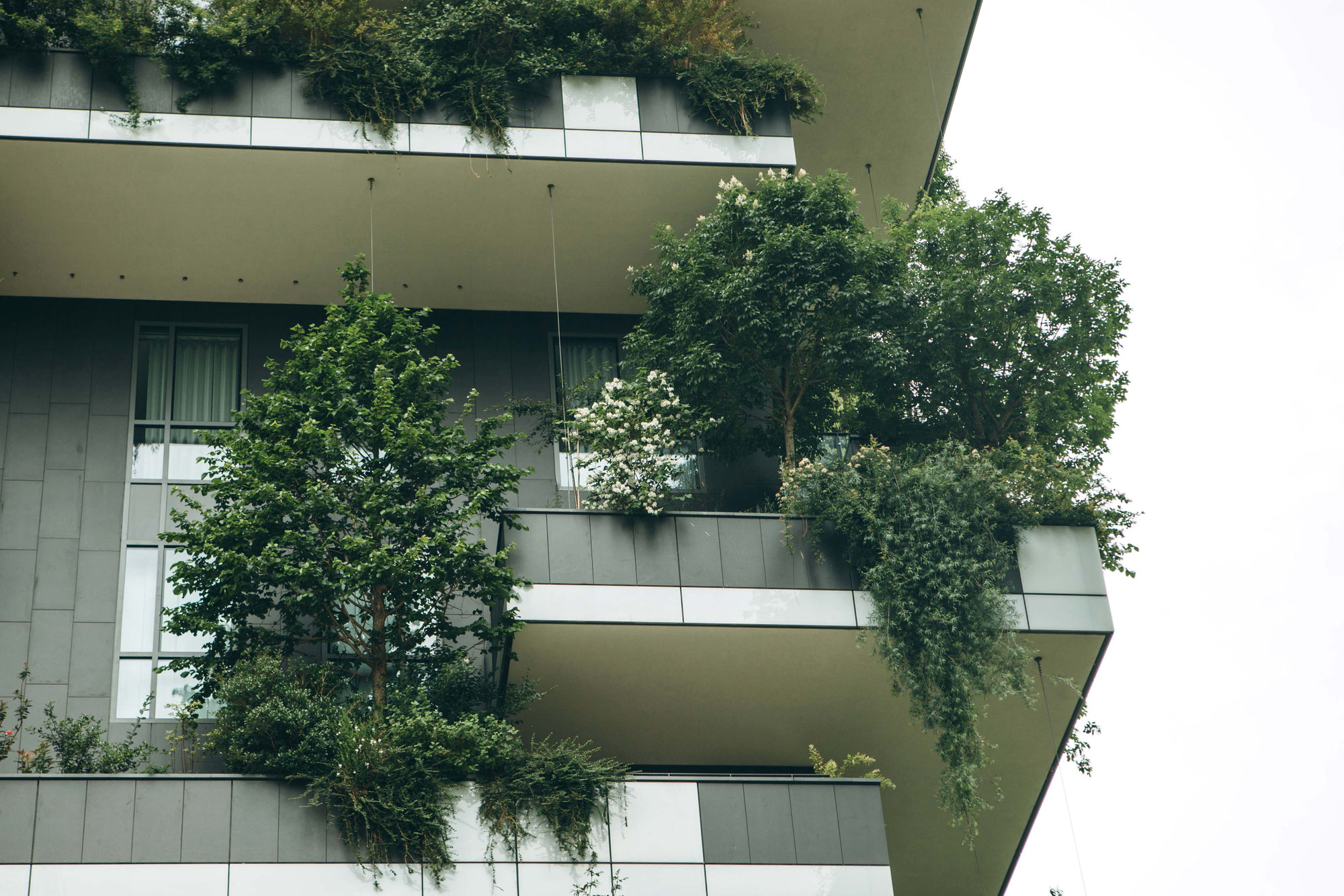 Healing Nature: H υγεία και η ευεξία στο επίκεντρο της Συλλογής Futura ...